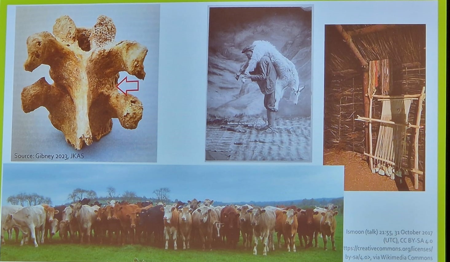 Brigid’s Worlds – Shauna Gilligan Writer